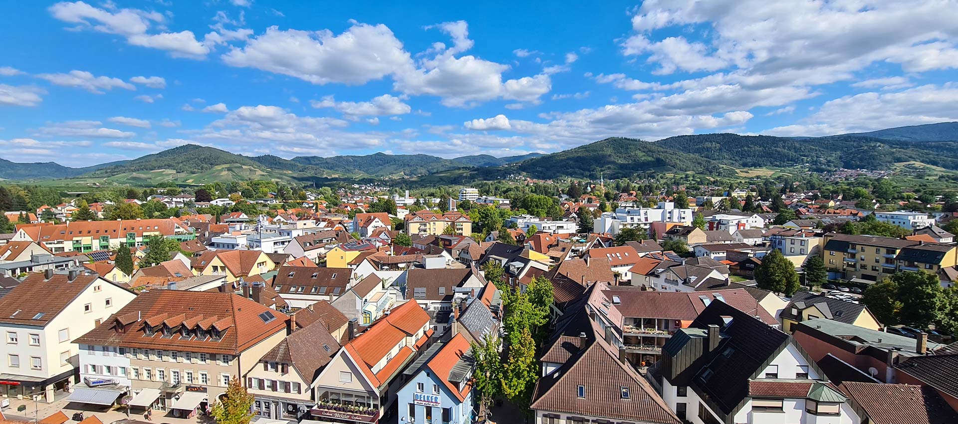 Die Retter der Bühler Zwetschge - Mein Schwarzwald Magazin